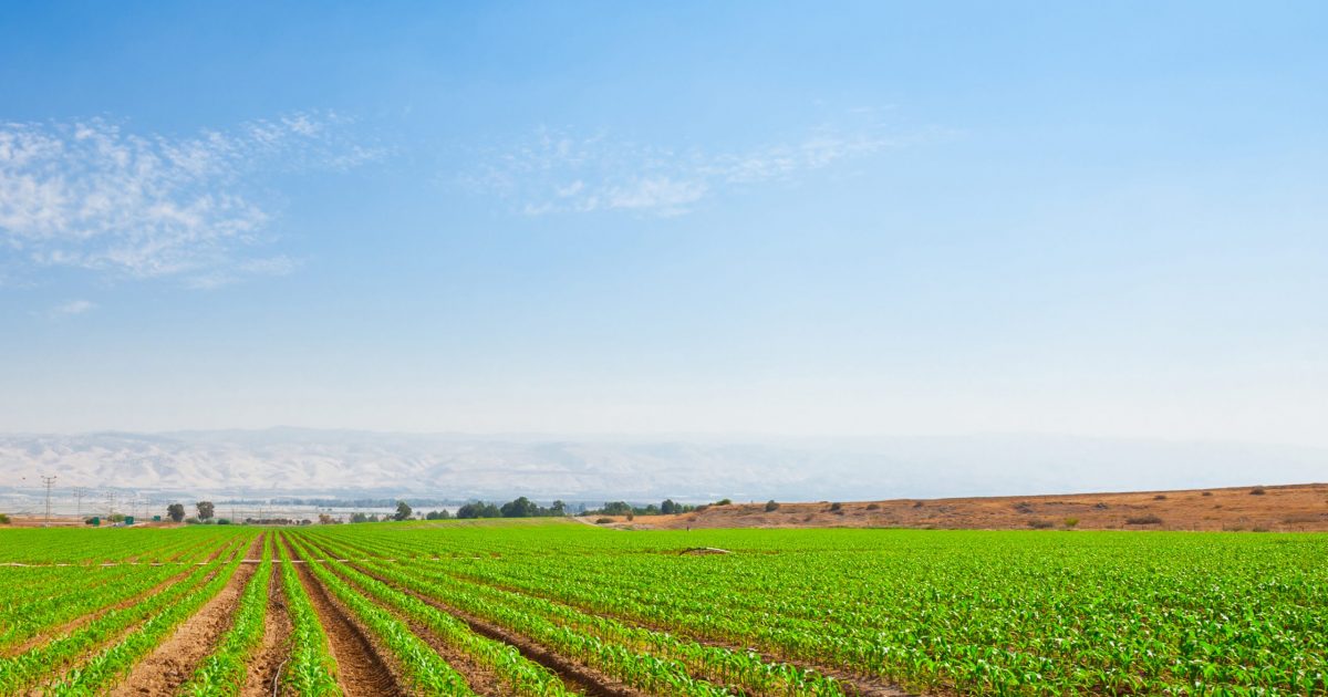 הצורך בהגדלת ההשקעה בפתרונות הדברה ביולוגיים בחקלאות | Lidorr Elements
