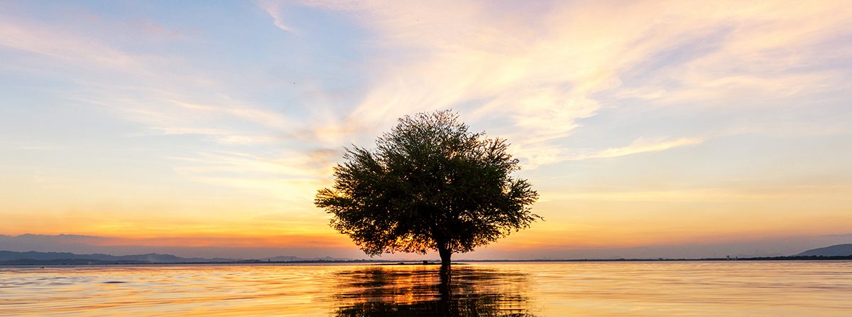 Our Vision | Lidorr Elements - Israel's expert materials importer