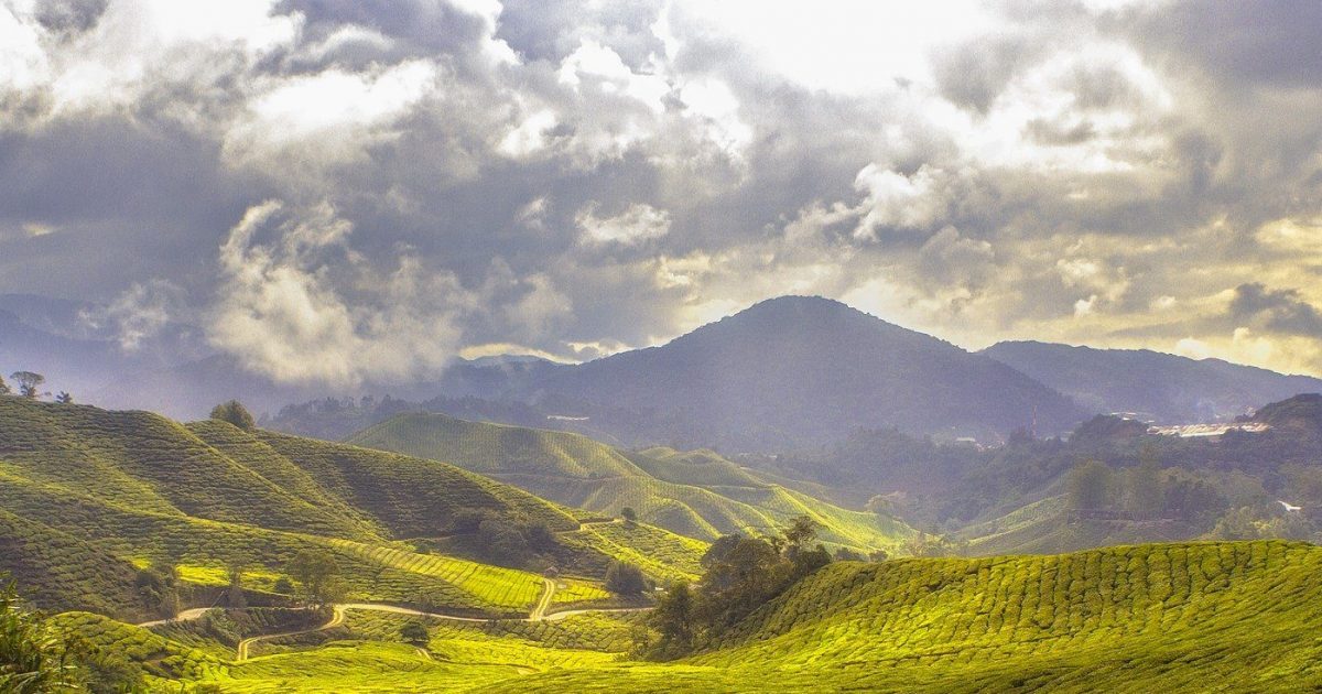 About | Lidorr Elements - Israel's leading supplier of chemicals